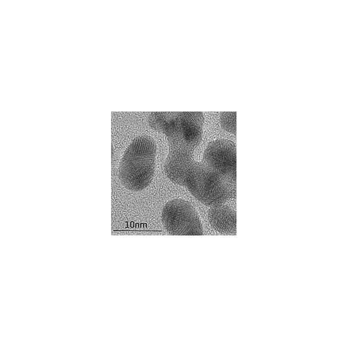 EM-Tec TR1 TEM resolution standard fine gold particles — Microscopy ...