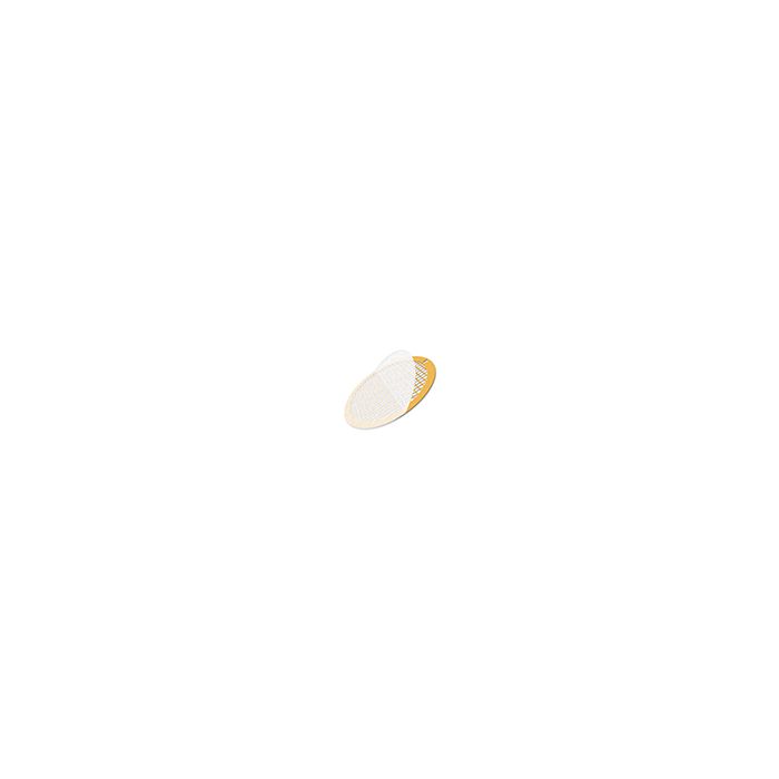 EMR Holey Carbon support film on gold 300 square mesh — Microscopy ...